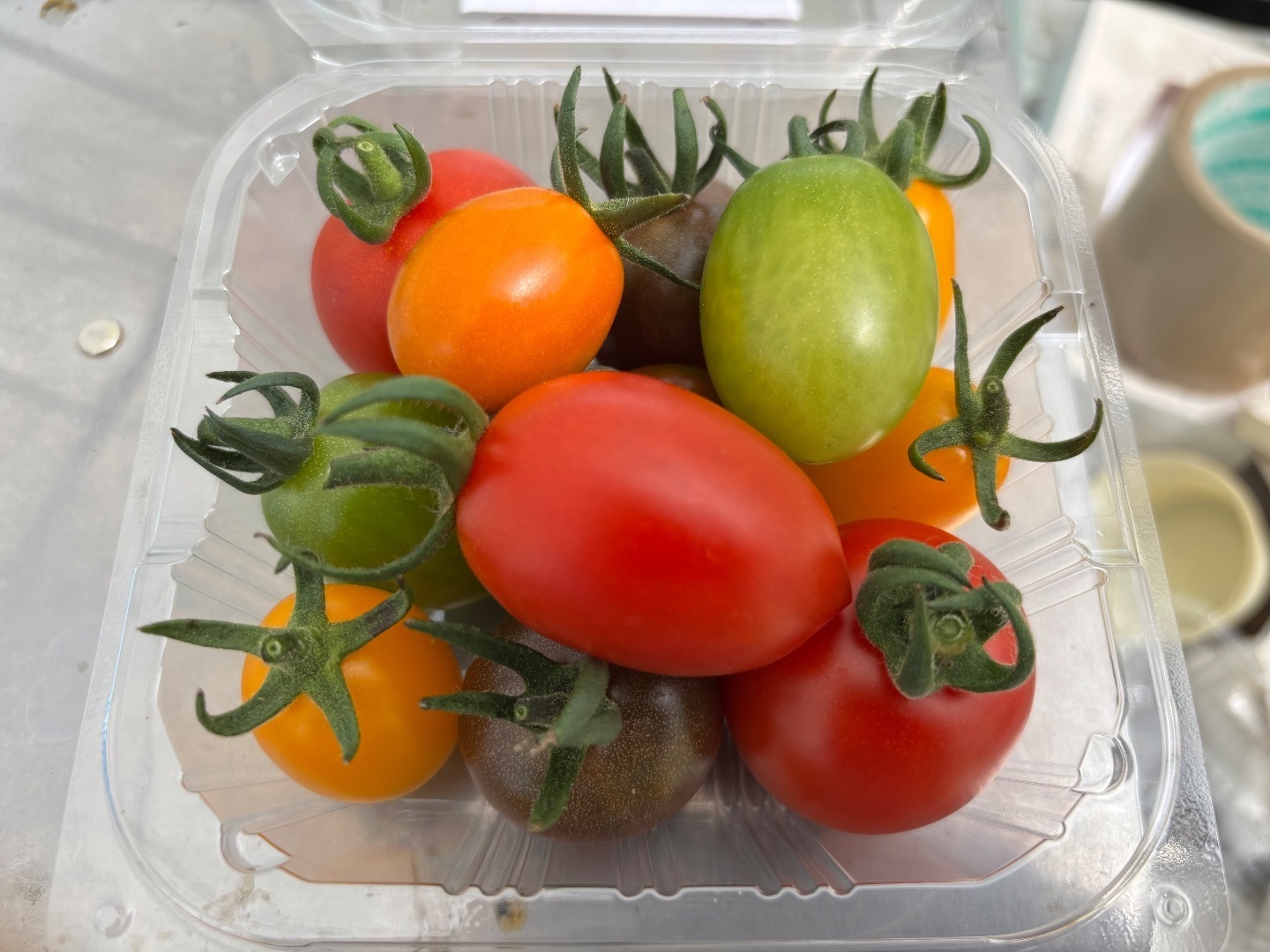 ミニトマト収穫開始！: フクシファーム八ヶ岳