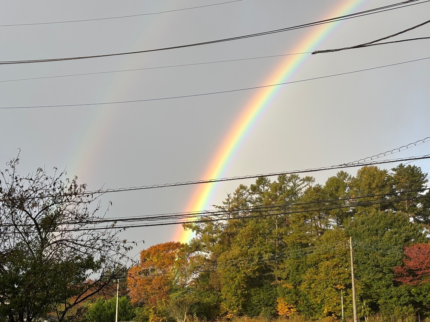 こんな虹は初めて見た！: フクシファーム八ヶ岳